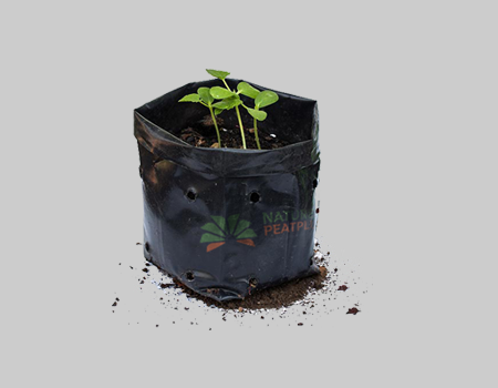 Open Top Grow Bags ( Prefill Bags) – Nature Coir Pithplus